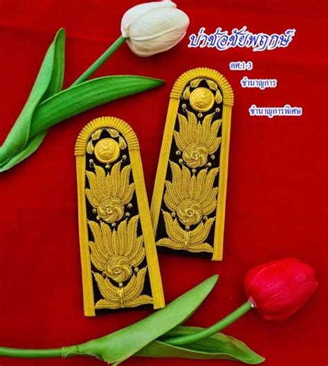 บ่าชุดปกติขาว ระดับปฏิบัติการ ระดับชำนาญการ ชำนาญการพิเศษ อินธนูชุดปกติขาวบ่าชุดข้าราชการ ช่อ