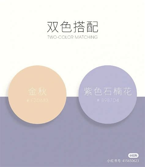 高级配色 审美提升 色彩搭配 平面设计 复古配色 推荐灵感 色卡分享 视觉艺术 神仙配色 转载自小红书 侵删致歉 可转采