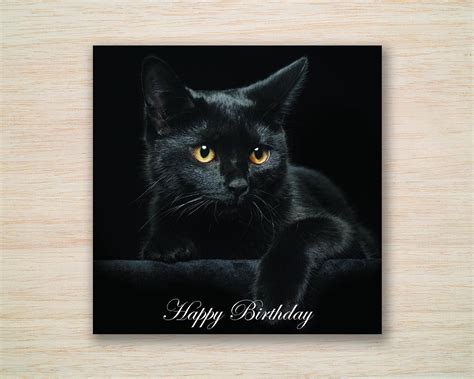 Black Cat Birthday Card For Cat Lovers And Cat Owners Black Etsy Uk