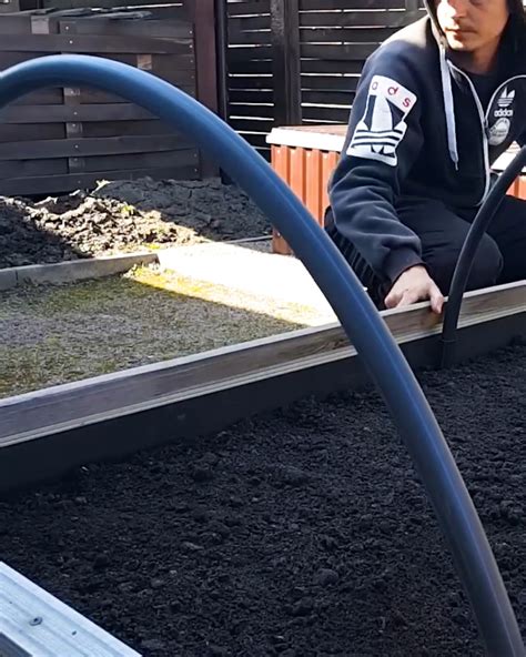 Build Your Own Greenhouse With This Tutorial Greenhouse Tutorial