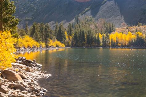 Fall Colors Peak At Mammoth Lakes Fox 5 San Diego And Kusi News