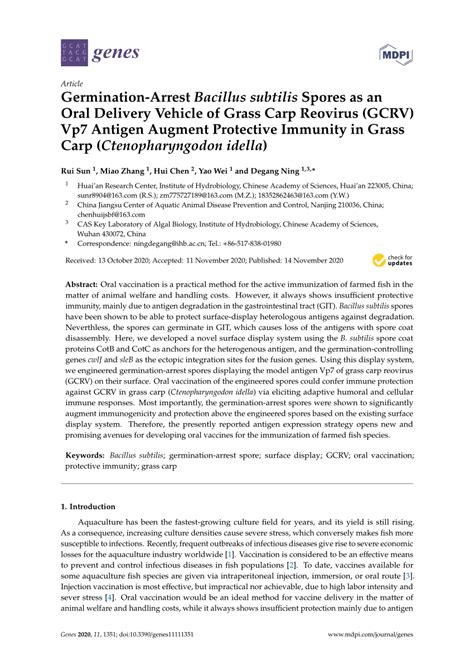 Pdf Germination Arrest Bacillus Subtilis Spores As An Oral Delivery