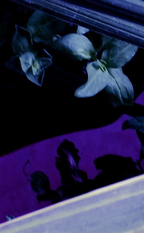 Vampire Party By Windy Rainy Stormy Castle Windy Rainy Stormy Castle