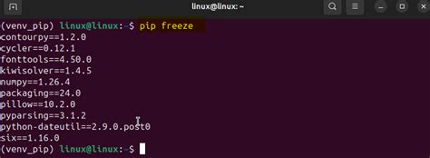 How To Install Pip And Use On Ubuntu 24 04 LinuxWays