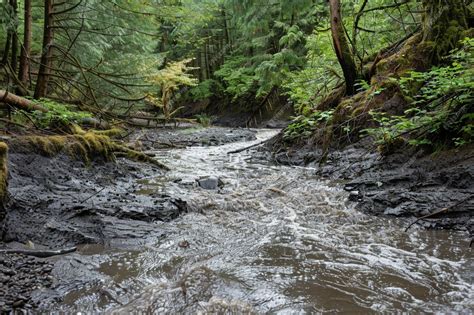 Analyzing Sediment Runoff Patterns After Deforesta Generative Ai