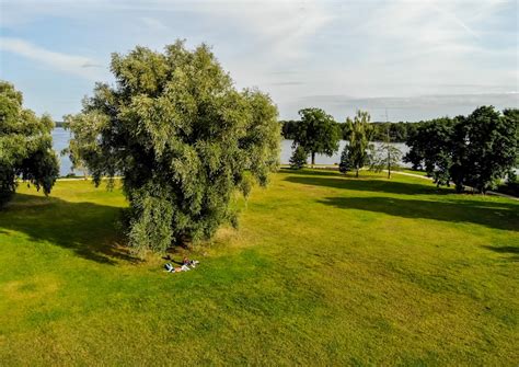 멀리 나무와 수역이 있는 풀밭 사진 Unsplash의 무료 드론 사진 이미지