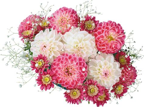 花の写真・フリー素材／花束no006『ダリアの束・赤白』