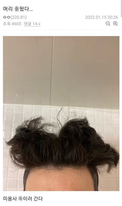 디시인사이드 헤어 갤러리 레전드 총집합 대참사 유머월드