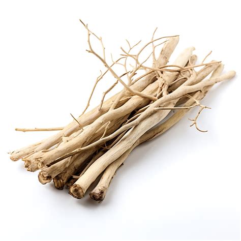 Premium Ai Image Isolated Of White Atractylodes Type Of Herb Atractylodes Macrocephala Fo On