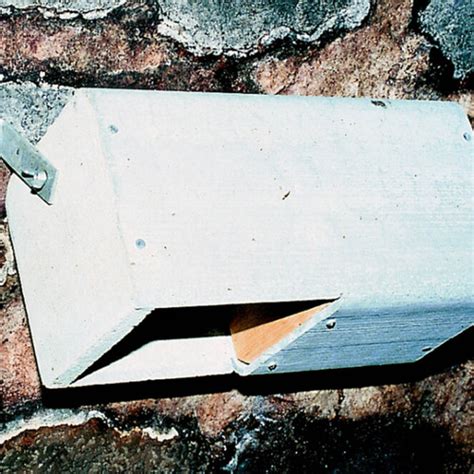 Schwegler No 19 Dipper Nest Box Wildlife Services