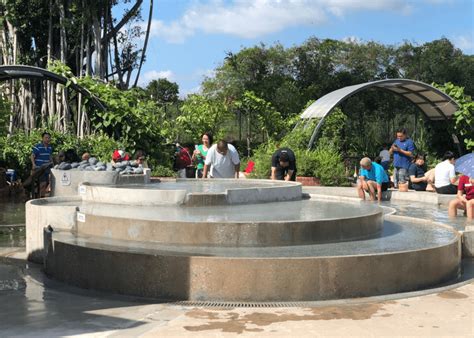 What To Explore At Sembawang Hot Spring Park Honeycombers