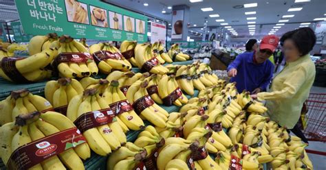 바나나와 파인애플 수입액 사상 최대