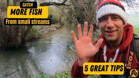 How To Catch More From Small Streams Follow These 5 Tips To Success