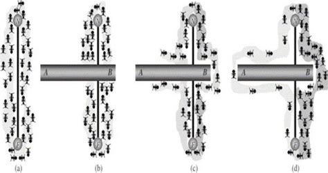 Ant Colony Optimization 35 A Novel Biological Inspired Self Organized