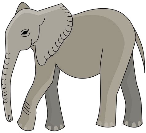 Elephant Free Vector Clipart Images On