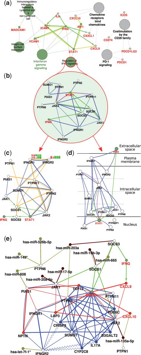 Figure 1 From Cluepedia Cytoscape Plugin Pathway Insights Using Integrated Experimental And In