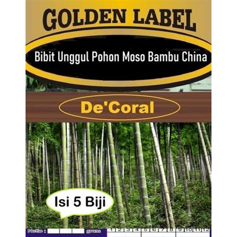 Jual Bibit Unggul Pohon Moso Bambu China Biji Benih Pohon Bambu China Biji Bibit Moso Bambu