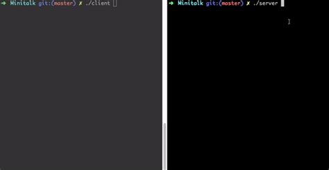 GitHub SteDenis Minitalk