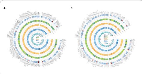 Figure 2 From Causal Relationship Between Gut Microbiota And Diabetic Nephropathy A
