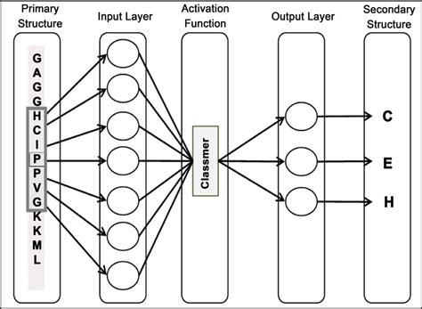 Classifier Nn General Structure Download Scientific Diagram