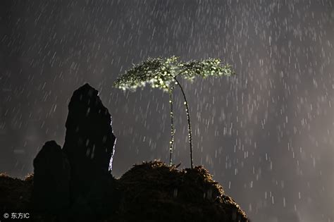 浣溪沙漠漠轻寒上小楼原文带翻译 浣溪沙漫漫轻寒上小楼 齐齐哈尔诗词网