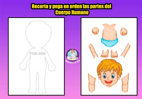 Recorta Y Pega En Orden Las Partes Del Cuerpo Humano En 2023 Cuerpo
