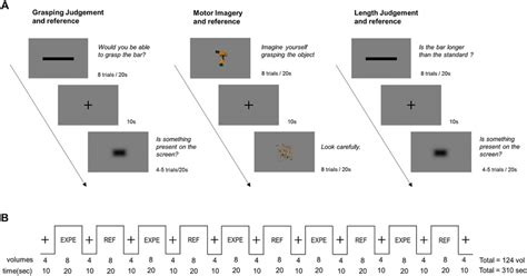 Schematic Representation Of The Time Course Of The Fmri Experiment Download Scientific Diagram