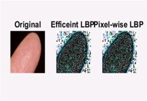 figure 1 from fingerprint liveness detection based on feed forward neural network semantic scholar