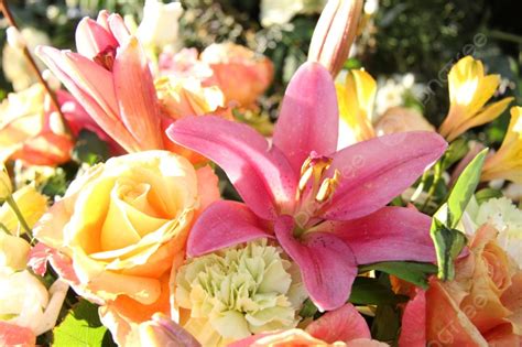 다양한 파스텔 색상의 혼합 꽃꽂이 사진 배경 및 무료 다운로드를위한 그림 Pngtree