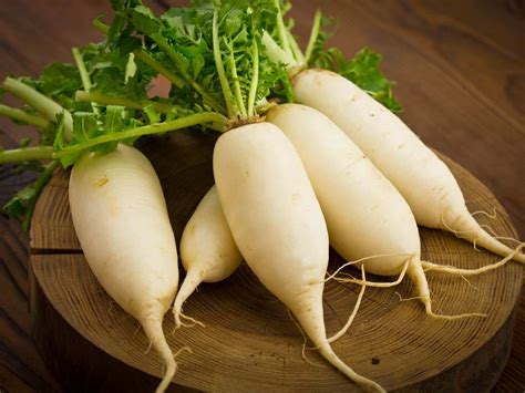 Download Captivating White Winter Radish Wallpaper