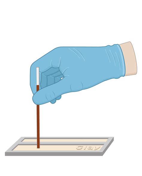 Hematocrit Test Lesson Human Bio Media