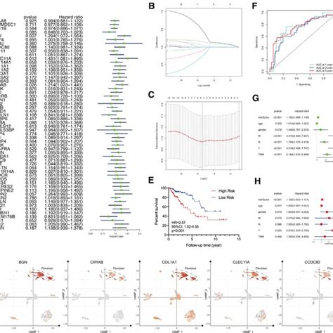 The Different Tumor Microenvironments Between High Risk Groups And Download Scientific Diagram
