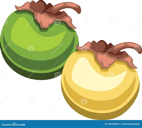 Nance Fruit Cartoon Character With Cute Emoticon Bring Money Vector Illustration Cartoondealer