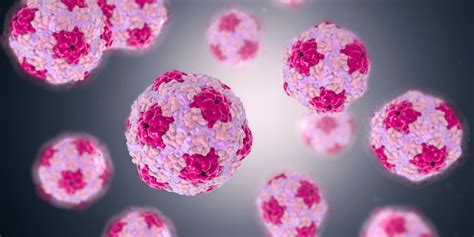 Cytomegalovirus Cell Lysate Antigen The Native Antigen Company
