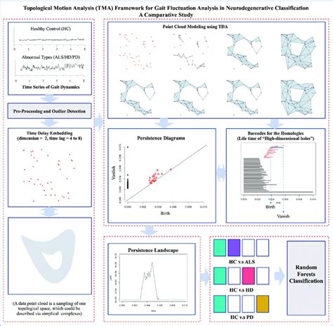 The Proposed Tma Framework And Neuro Degenerative Classification