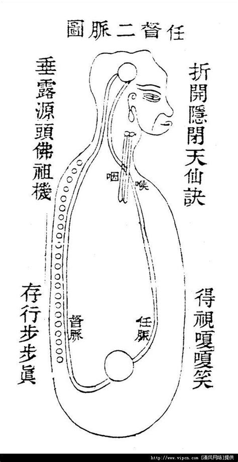 打通任督二脉图册 360百科