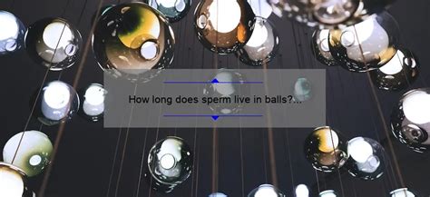 How Long Does Sperm Live In Balls The Truth About Sperm Lifespan Sperm Blog