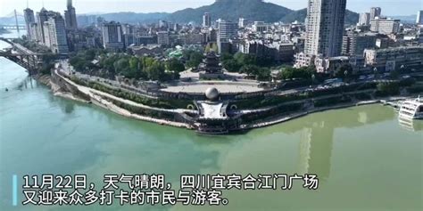 红嘴鸥如约而至！宜宾三江口 鸟飞鱼跃”吸引市民观赏打卡凤凰网视频凤凰网