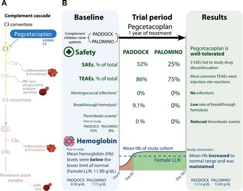 Pegcetacoplan Improves Hemolysis Markers In Patients With PNH A The Download Scientific