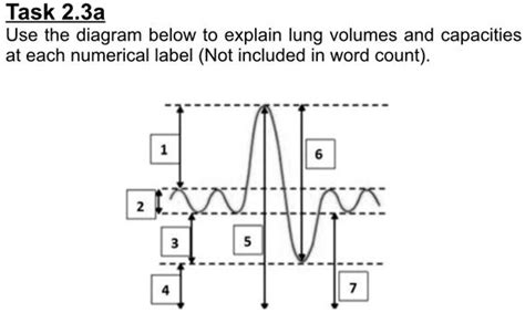 SOLVED Task 2 3a Use The Diagram Below To Explain Lung Volumes And