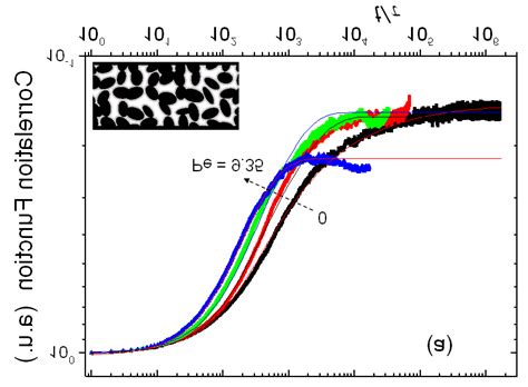 A Correlation Functions From The Mc Simulations And B The
