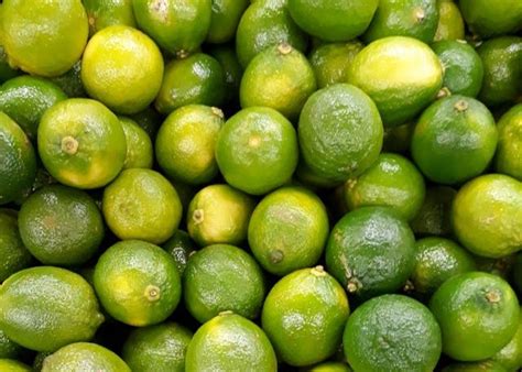 indonesia ai object segmentation demo