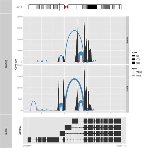 Ggbio An R Package For Extending The Grammar Of Graphics For Genomic