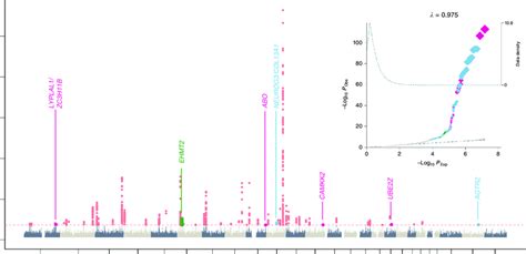 Manhattan And Quantile Quantile Plot Qq Plot Of The Discovery And Download Scientific Diagram