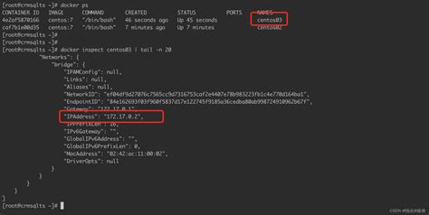 Docker网络详解：从bridge到自定义网络的实战应用 Csdn博客