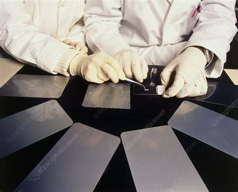 Paint Analysis Stock Image H2000153 Science Photo Library