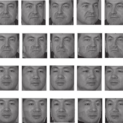 Virtual Views Generated From A Single Frontal Face Download Scientific Diagram