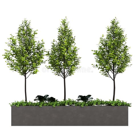 Decorative Flowers And Plants For The Interior Stock Illustration