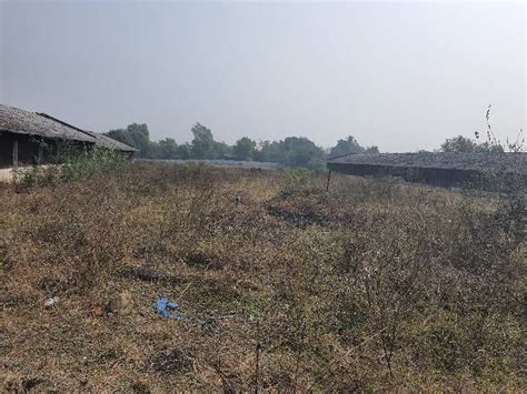 Industrial Land 3 Acre For Sale In Gidc Vapi Rei942827