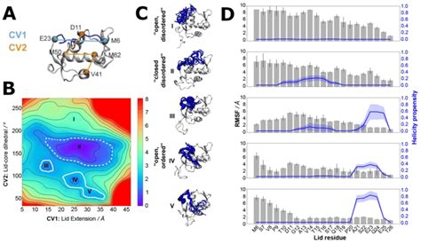 The Lid Idr Predominantly Adopts A Closed And Disordered Macrostate In Download Scientific